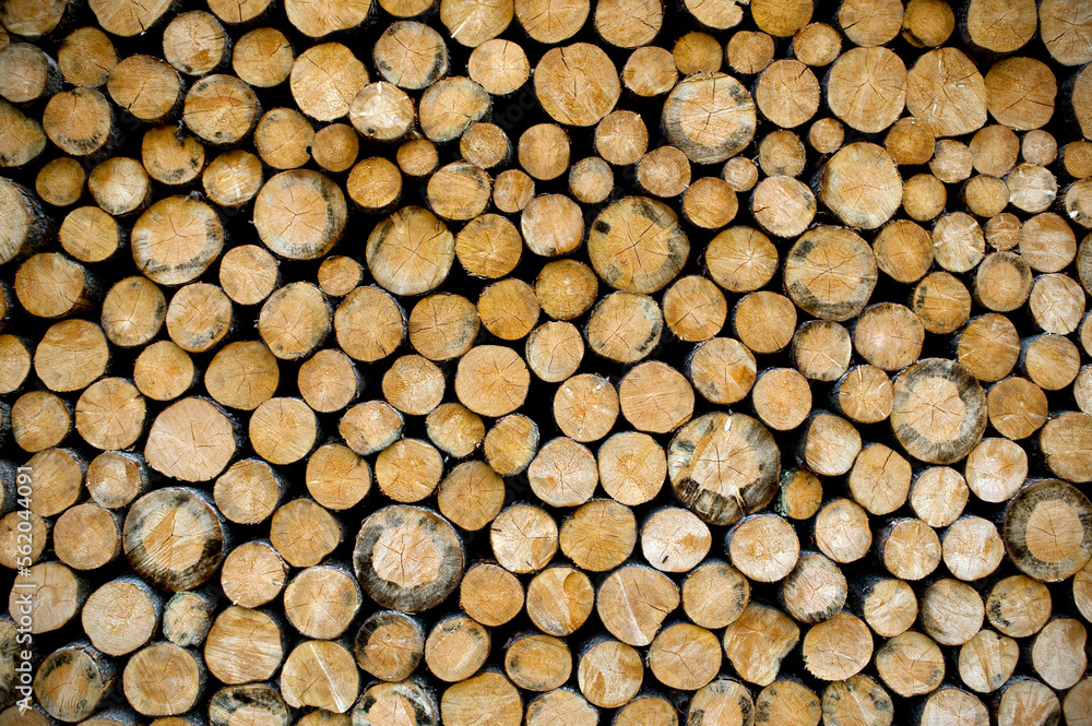 cut stacked firewood logs Stock Photo | Adobe Stock