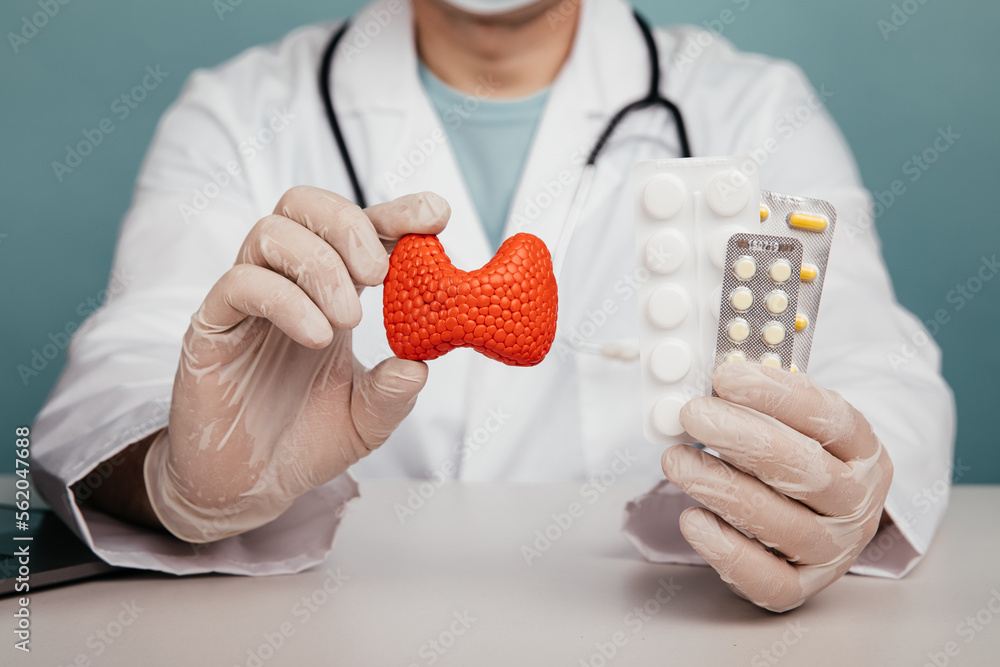 Doctor holds model of thyroid gland and pills. Protection, treatment ...