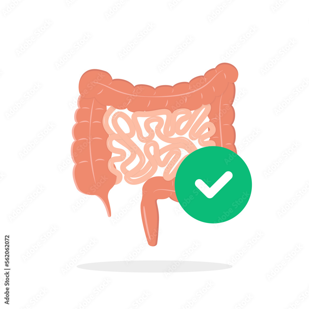 cartoon intestinal tract icon with green checkmark Stock Vector | Adobe ...