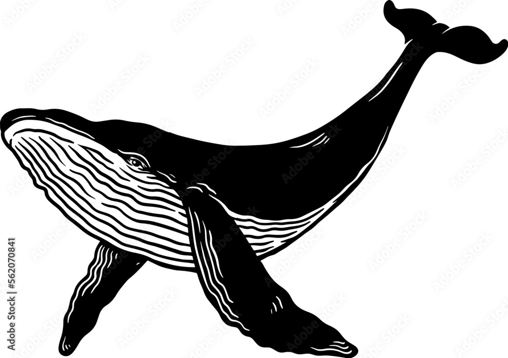 Illustration of whale. Design element for poster, card, banner, emblem ...