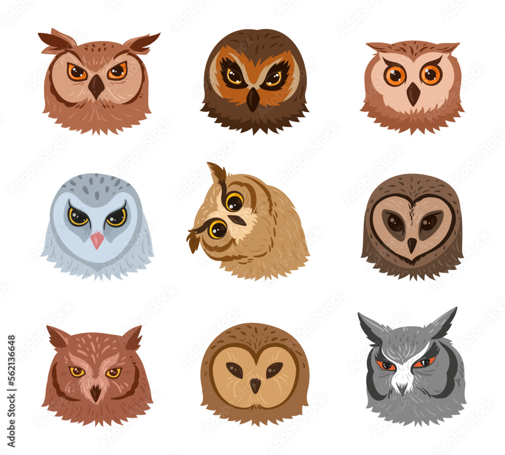 Owl faces. Cartoon adorable feathered owls avatars, wild forest birds ...