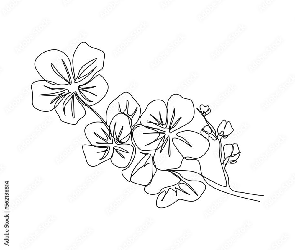 Continuous one line drawing of cherry blossom. Simple flower blossom ...