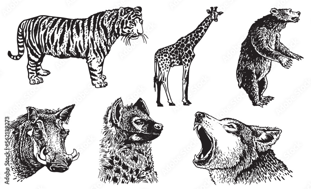 Graphical set of animals isolated on white background,vector ...