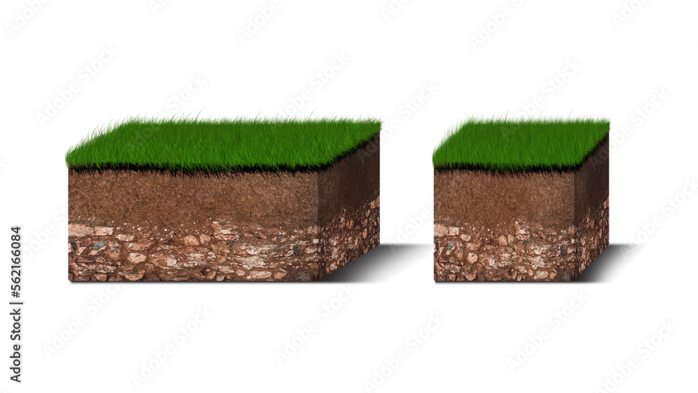 Isometric Soil Layers diagram, Cross section of green grass and ...