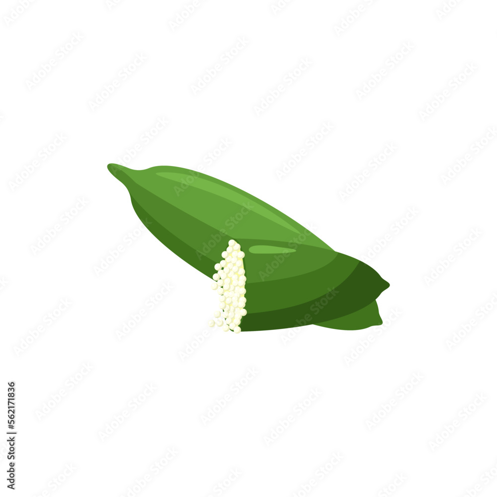 Finger Lime Flat design clip art vector illustration isolated on a ...