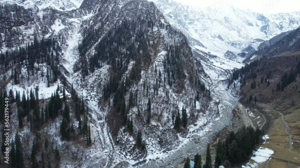 flying forward aerial drone shot snow covered mountains with pine trees ...