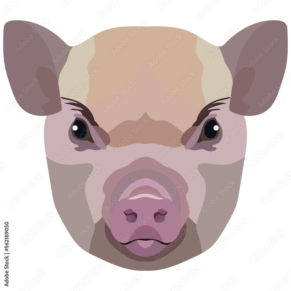 Micro Pig face. Vector illustration with cute mini pig. Isolated on ...