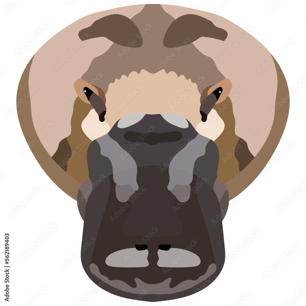 The face of a platypus. Vector illustration Isolated on white ...