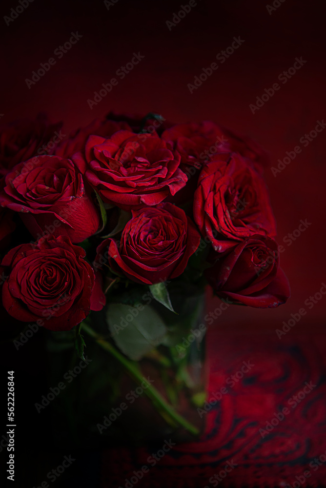 Red roses on black background Stock Photo | Adobe Stock