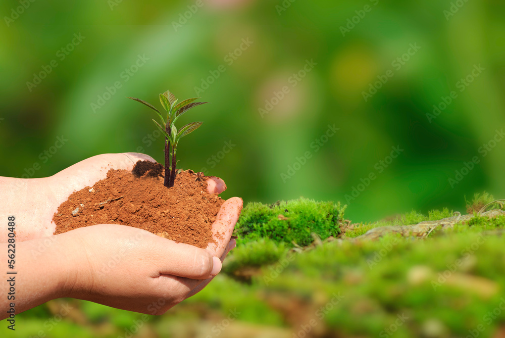 CO2 reduction concept. Hand planting trees with environmental icons ...