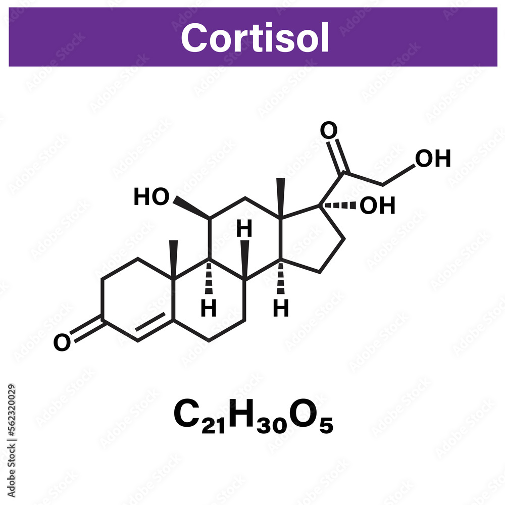 Vetor de Cortisol adrenal hormone structural chemical formula isolated ... Vetor de Cortisol adrenal hormone structural chemical formula isolated ...