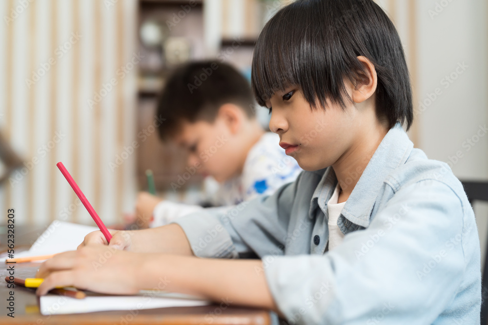 Two boy using colour pencil drawing on paper in the classroom at school ...
