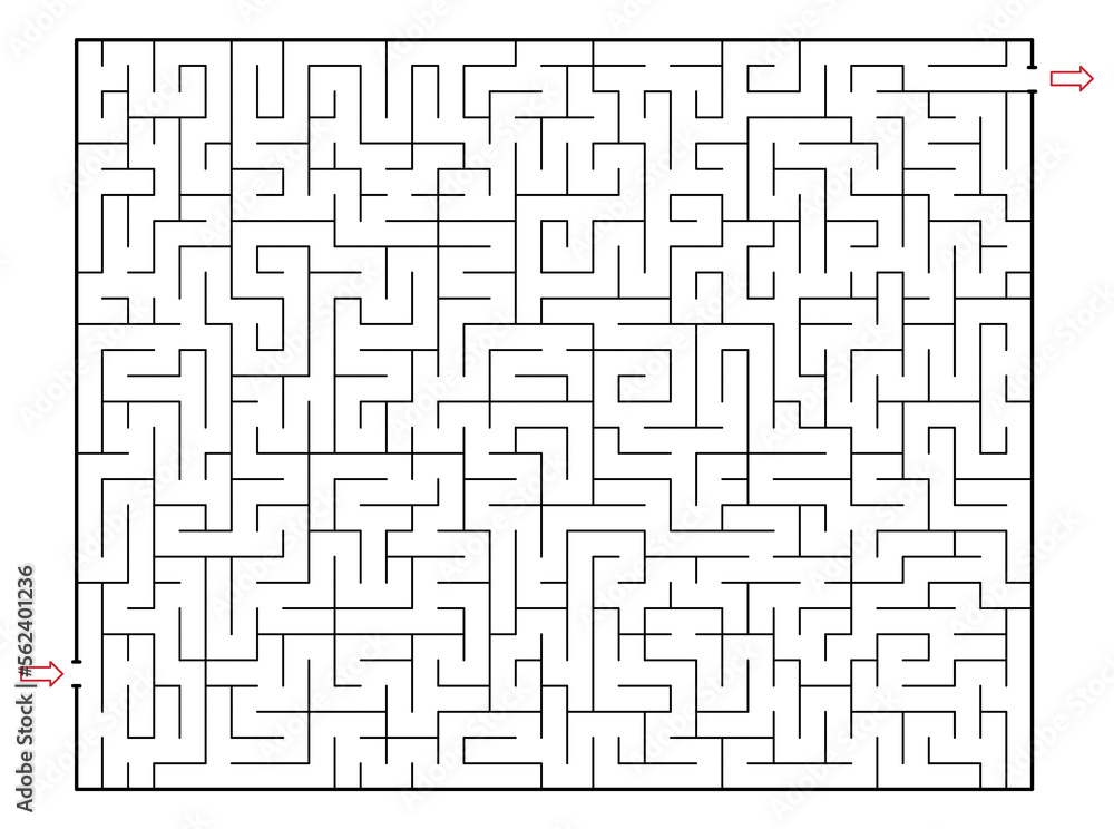 Vektorová grafika „Not so easy Rectangle labyrinth with one entry and ...