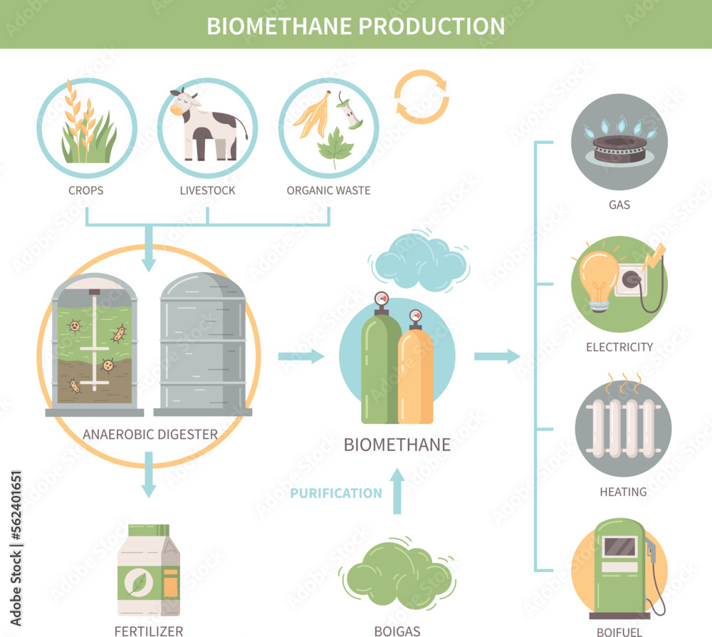 Biomethane Production Infographics Stock Vector | Adobe Stock