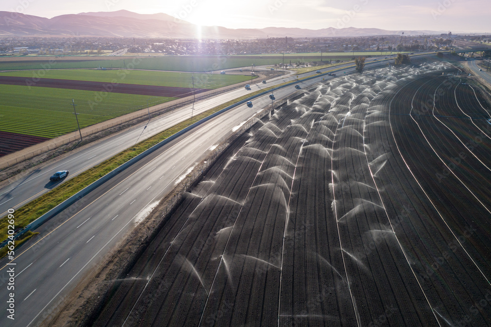 Irrigation Agriculture Field in California, United States. Sprinkler ...