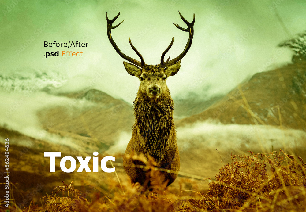Toxic Color Grading Photo Effect Stock Template | Adobe Stock