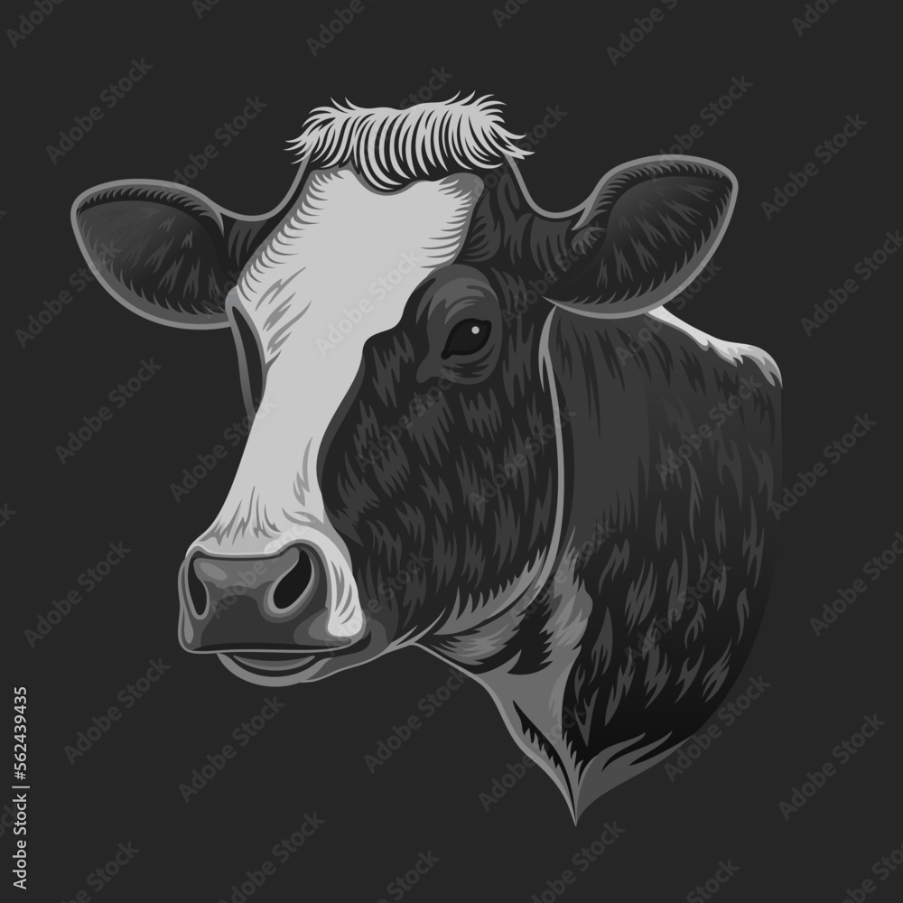 Dairy cow head. Realistic color vector digital illustration for design ...