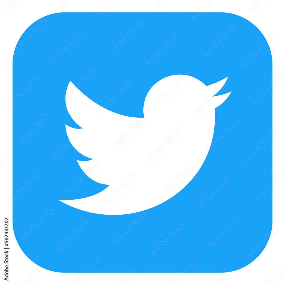 Twitter Logo White Vector