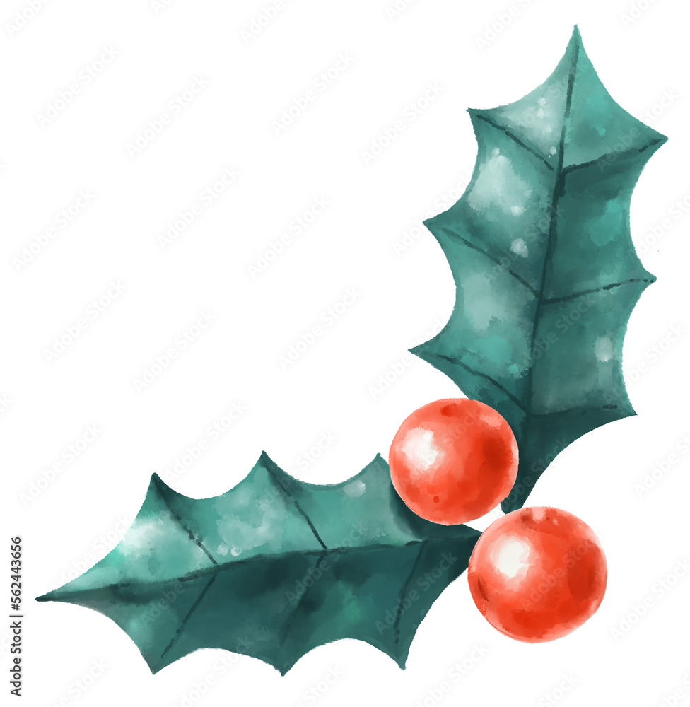 Mistletoe holly leaf and berry Christmas holiday season decorative ...