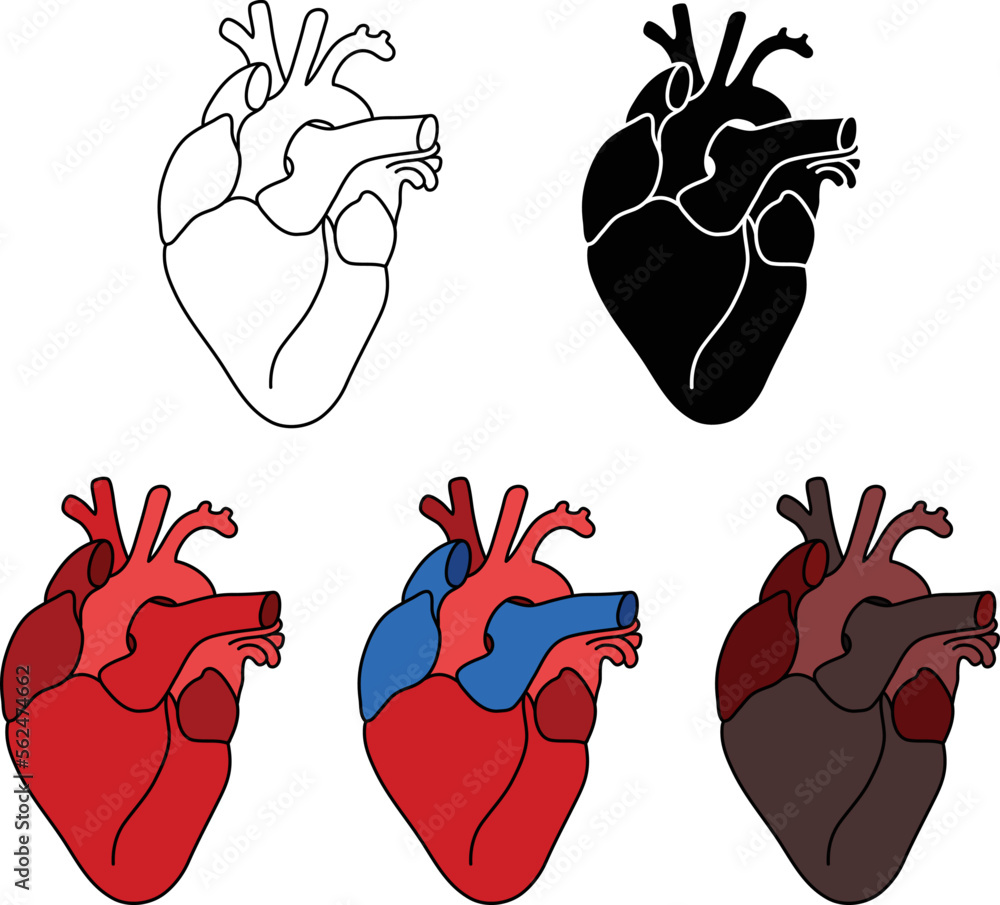 Realistic Heart Clipart Set - Outline, Silhouette & Color Stock Vector ...