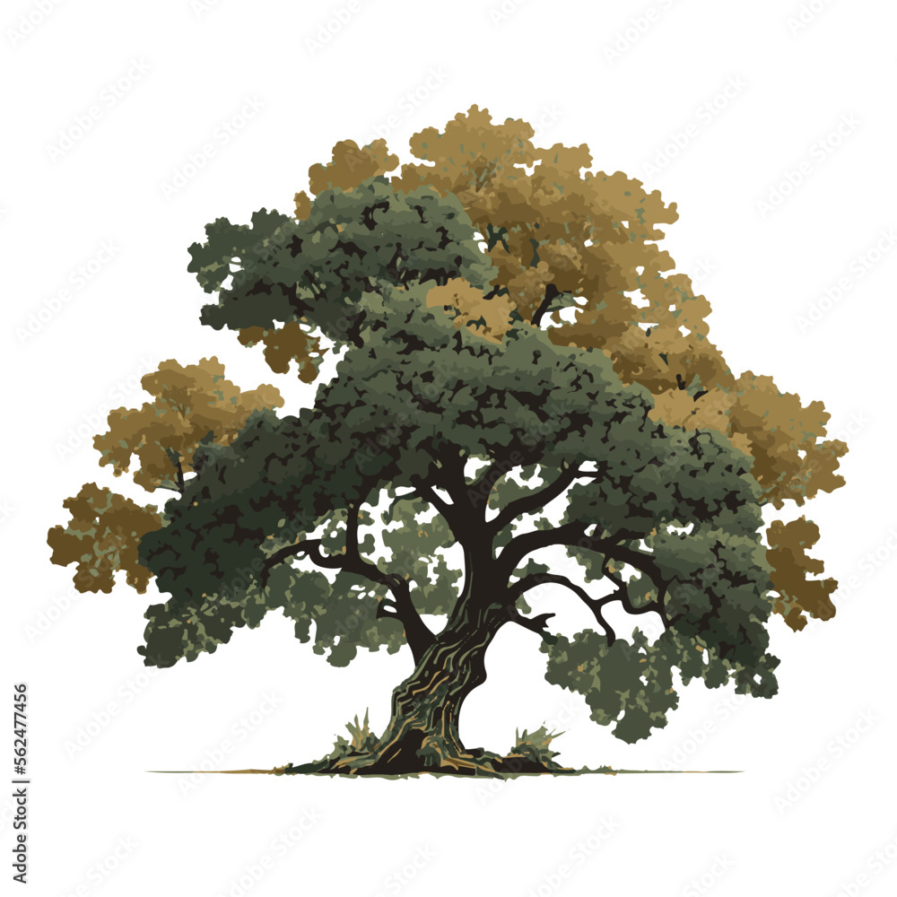 Majestic Oak Tree Vector Illustration Stock Vector | Adobe Stock