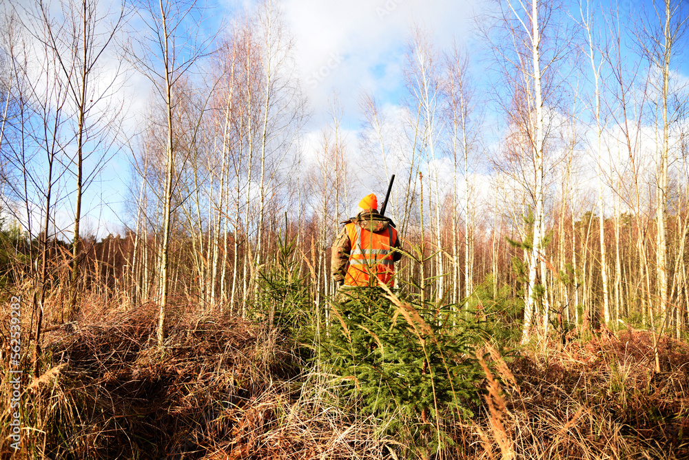 Hunter while hunting wild animals. Hunters with gun and rifle on ...