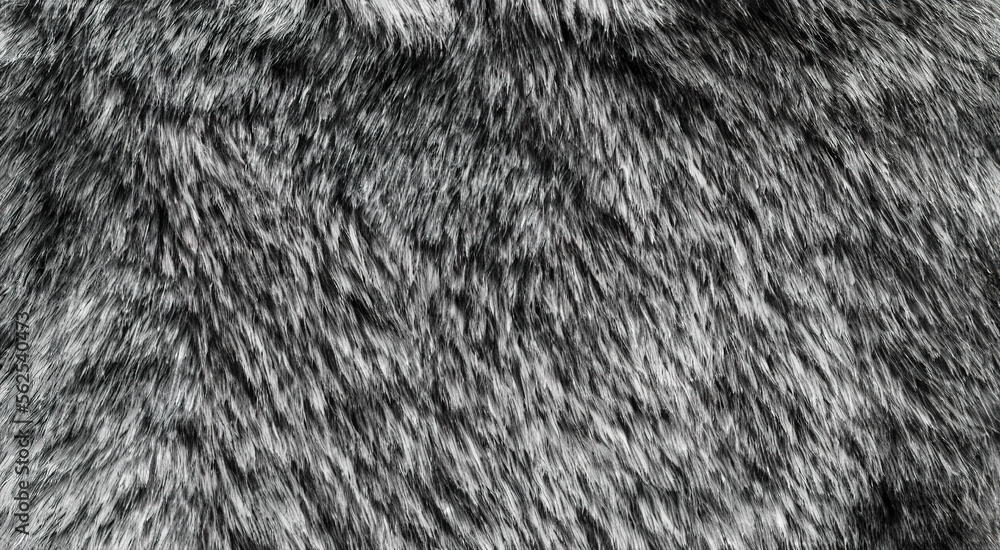 Fur Textures - Perfect for Adding Warmth and Texture to Your Designs ...
