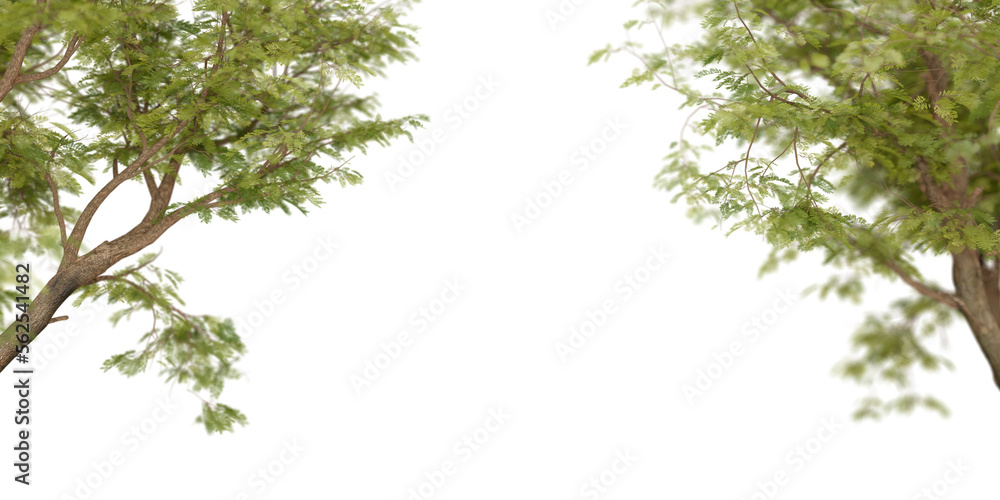Isolated trees on transparent background PNG file Stock Illustration ...