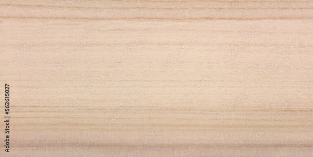 Paulownia (Paulowniaceae) wood texture. High resolution, Sharp to the ...