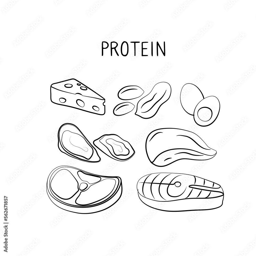 Protein-containing food. Groups of healthy products containing vitamins ...