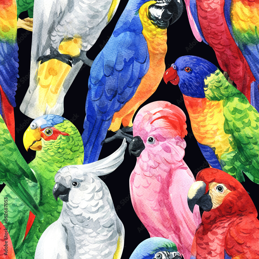 Watercolor cute parrot pattern. Pattern parrot. Watercolor cute animal ...