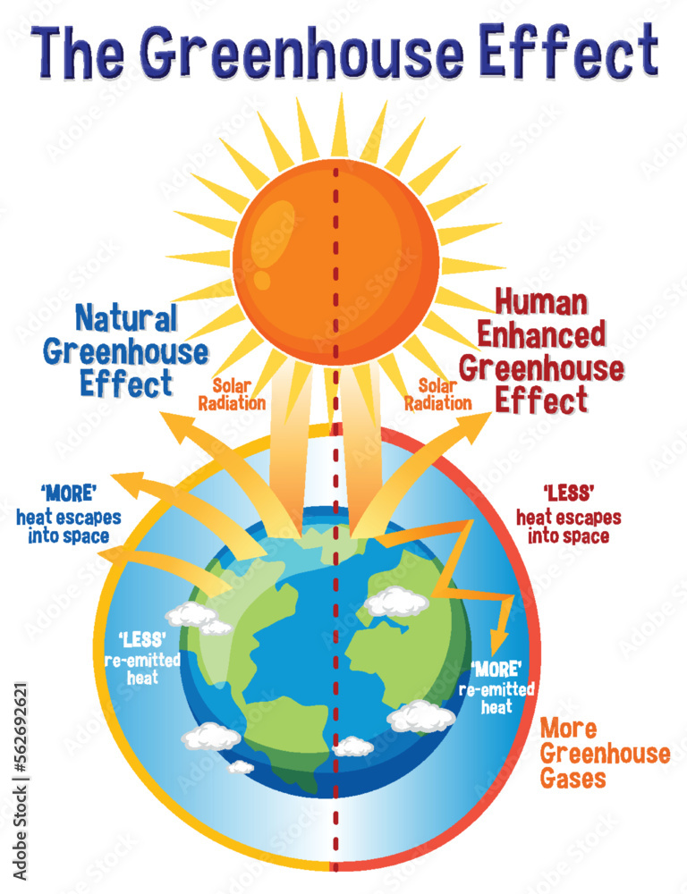 Diagram showing the greenhouse effect Stock Vector | Adobe Stock