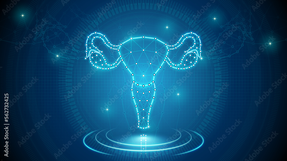 Human Organ Uterus and Ovaries Female Reproductive System Medical ...