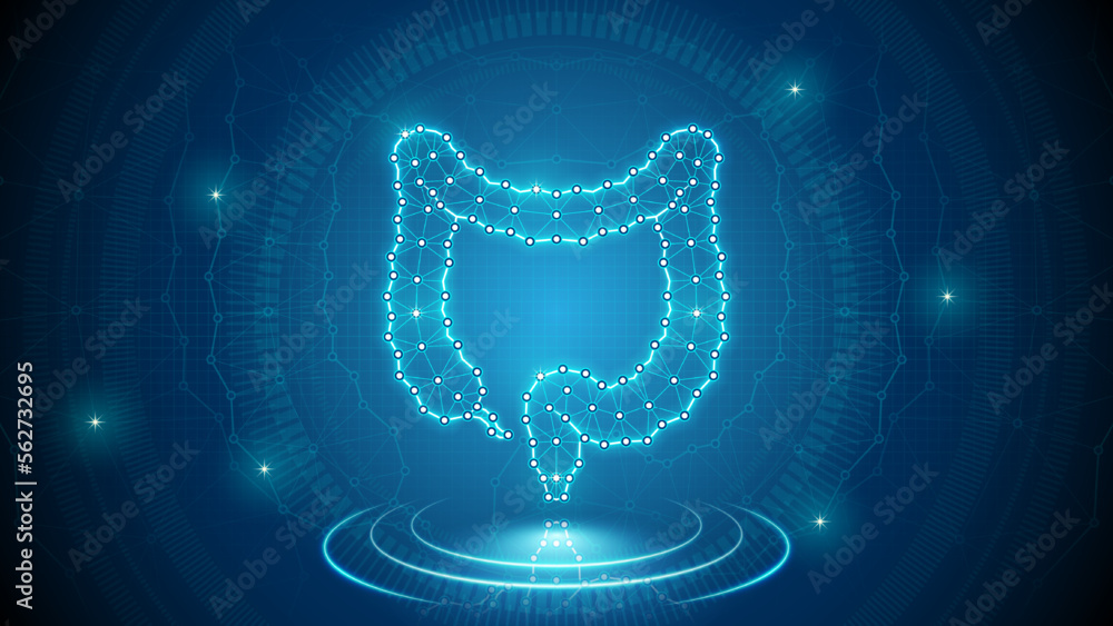 Human Organ Large Intestine Colon Gastrointestinal System Medical ...