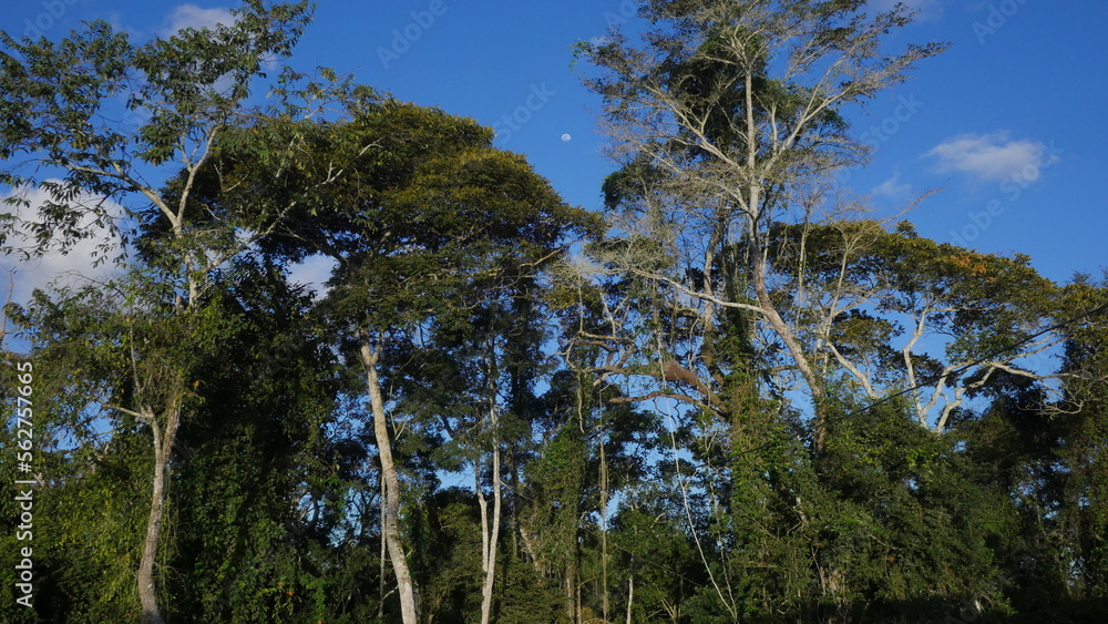 mata Stock Photo | Adobe Stock