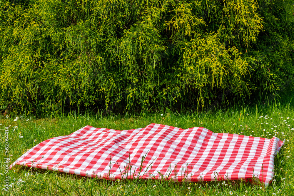Red picnic cloth. Red checked picnic blanket with a empty basket on a ...