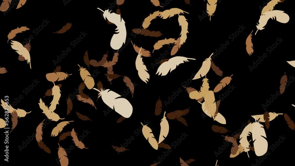 Falling feathers animation particles pattern texture seamless loop ...