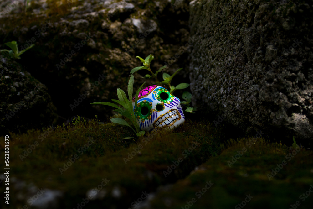 Calavera Calaverita de Azúcar Stock Photo | Adobe Stock