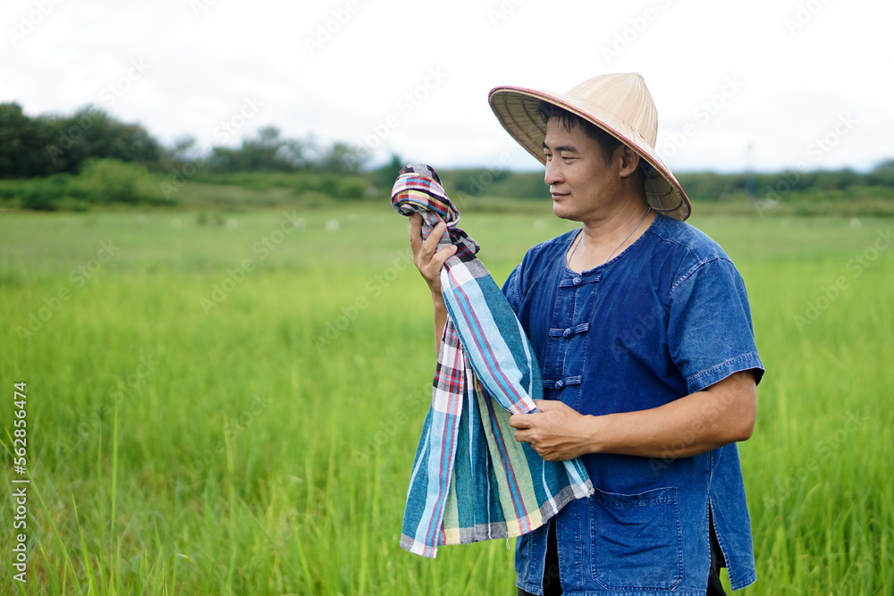 Handsome Asian man farmer is at paddy field, wears hat, blue shirt ...