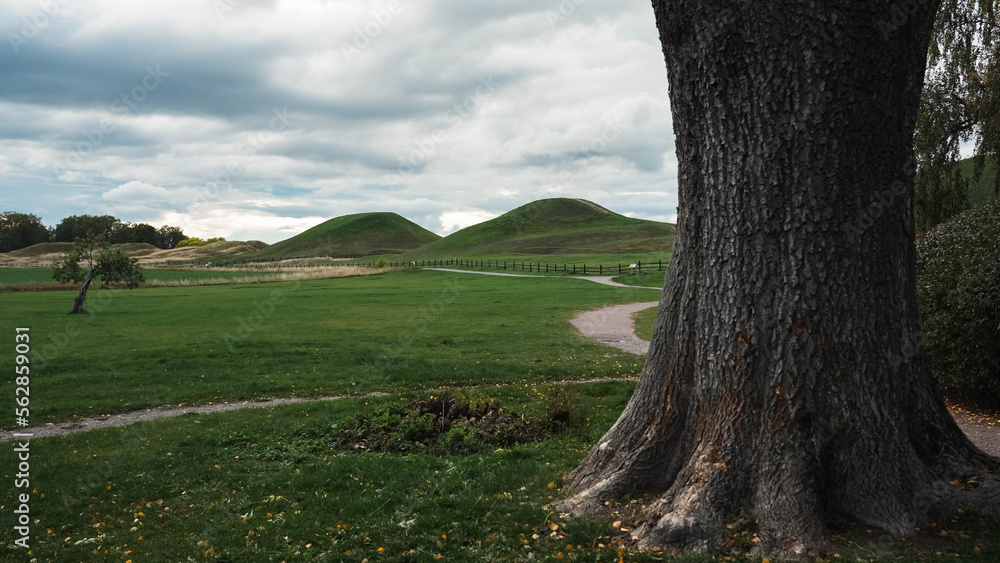 Viking Burial Mounds