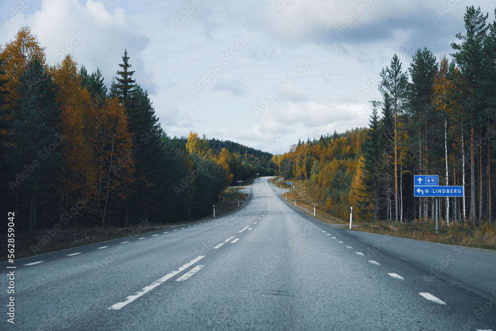 Long Swedish highway. Southern Swedish landscape with tall trees ...