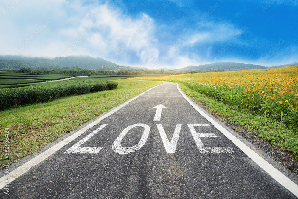 Happy valentines day love concept, love and arrow symbolizes the start ...