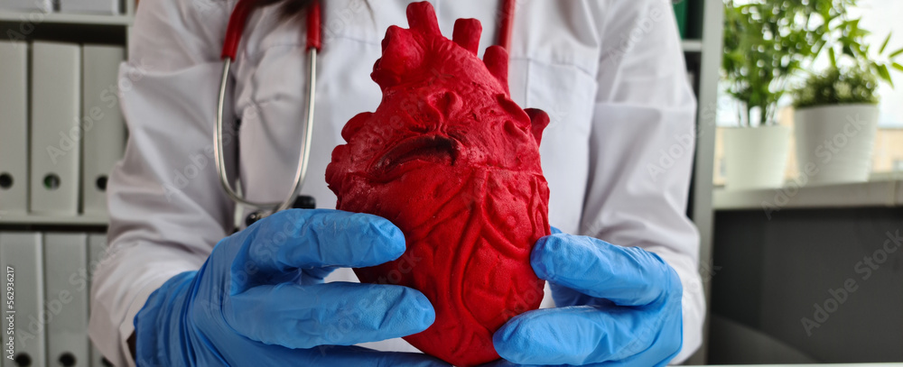 Doctor cardiologist holds layout of anatomy of heart in cardiology ...