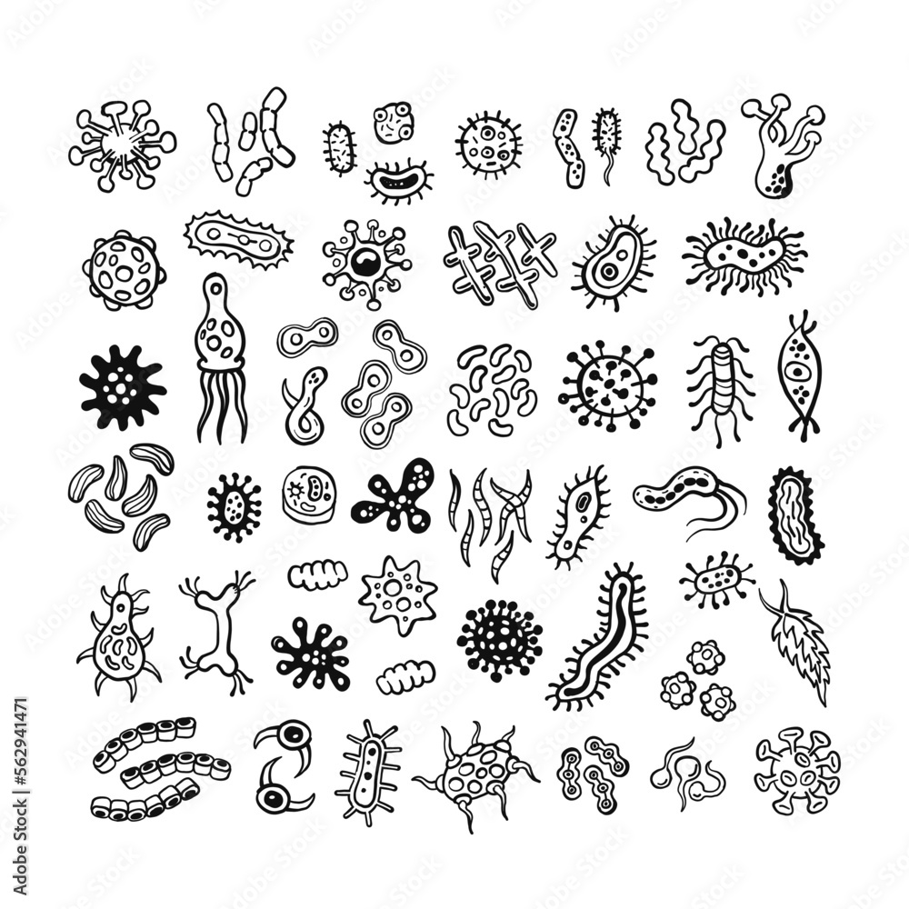 Microbes And Bacteria Collection Pathogenic Micro Organisms Various Types Of Bacteria