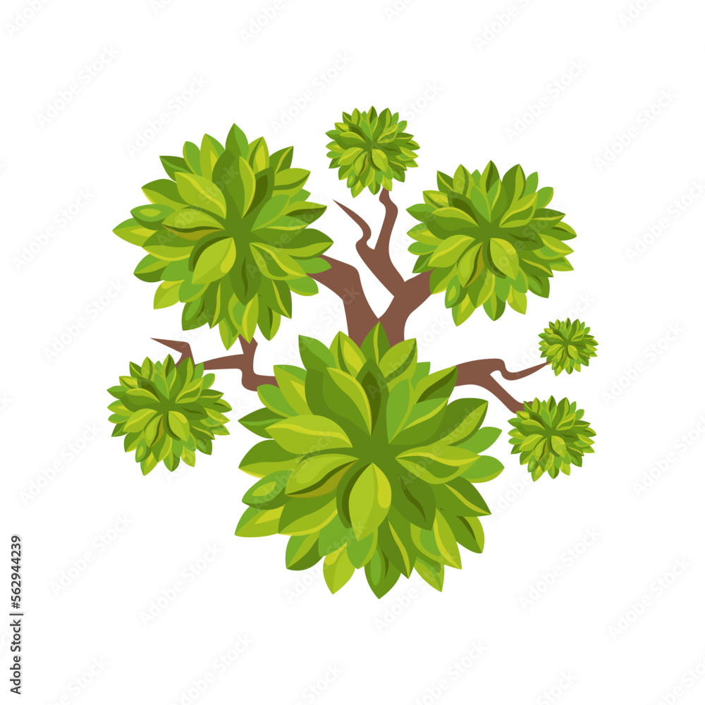 Top view of city tree for scheme illustration. Aerial view of tree ...