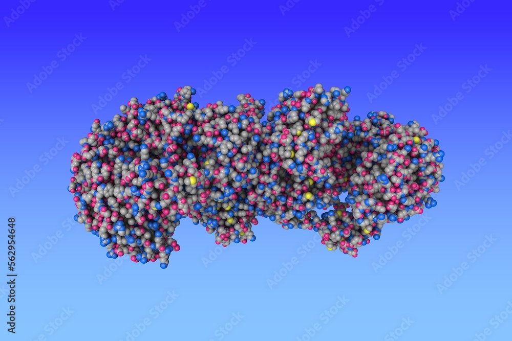 ภาพประกอบสต็อก Influenza A virus H7N9 polymerase apo-protein dimer ...