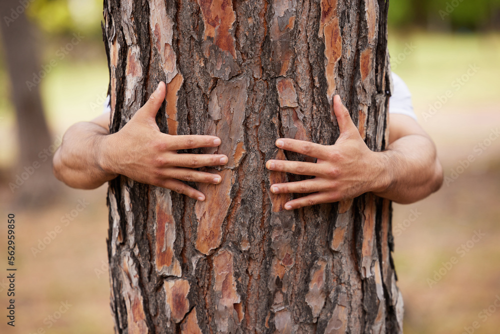 Environment, hands and man hug trees for save the planet, nature ...