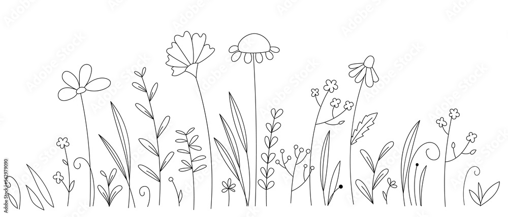 Vector linear floral hand drawn field. Beautiful floral background for ...