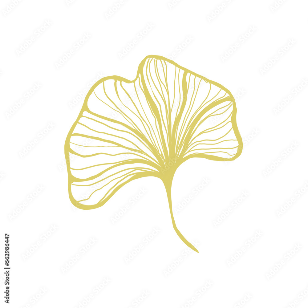 Ginkgo design, art deco , line art background png art nouveau Stock ...