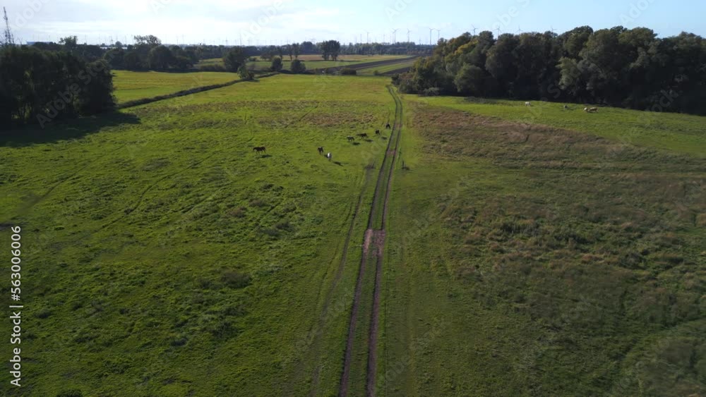 Long field path horse paddock. Gorgeous aerial view flight boom slide ...